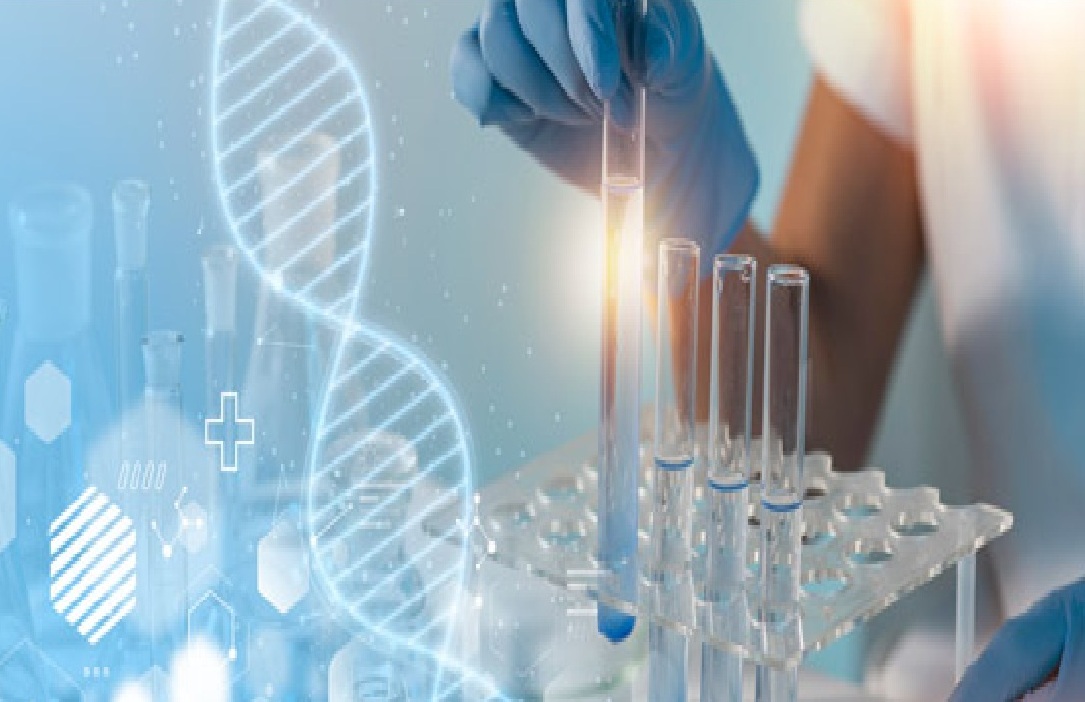 Home | Intercontinentalpharma